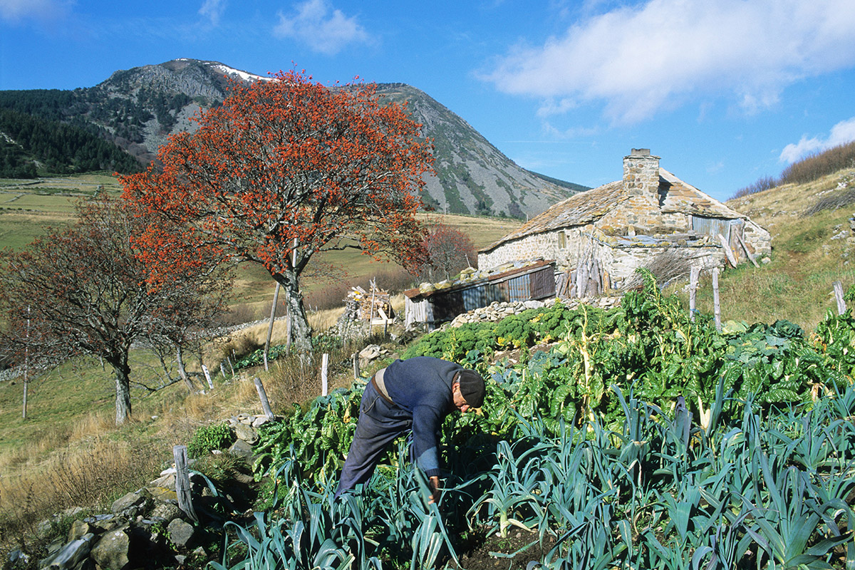 Bernard Peyrol - Strada